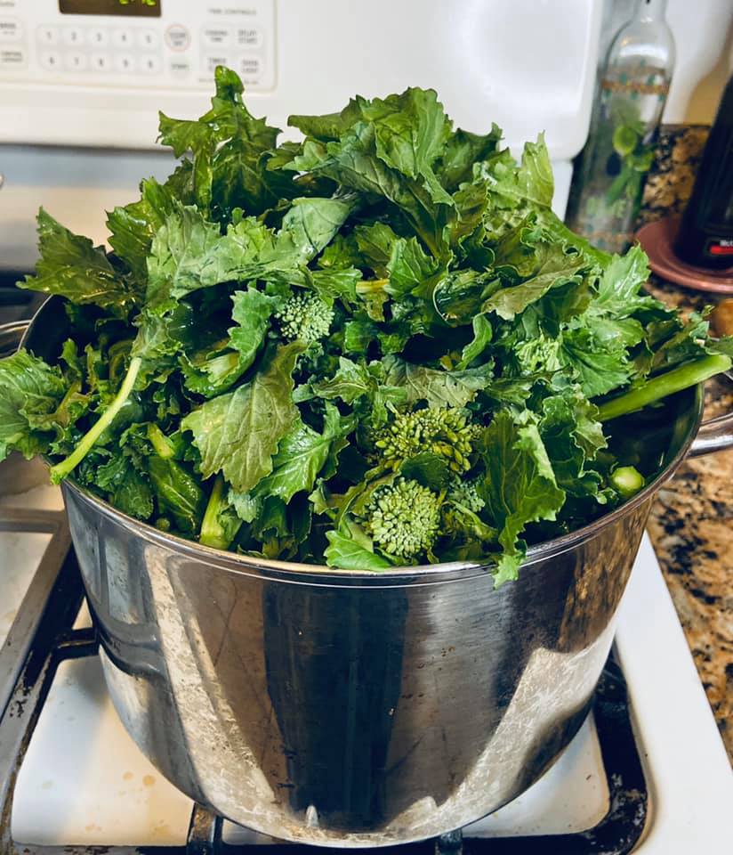 Rapini Superfood – Vita Rustica