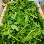 Rapini Superfood – Vita Rustica